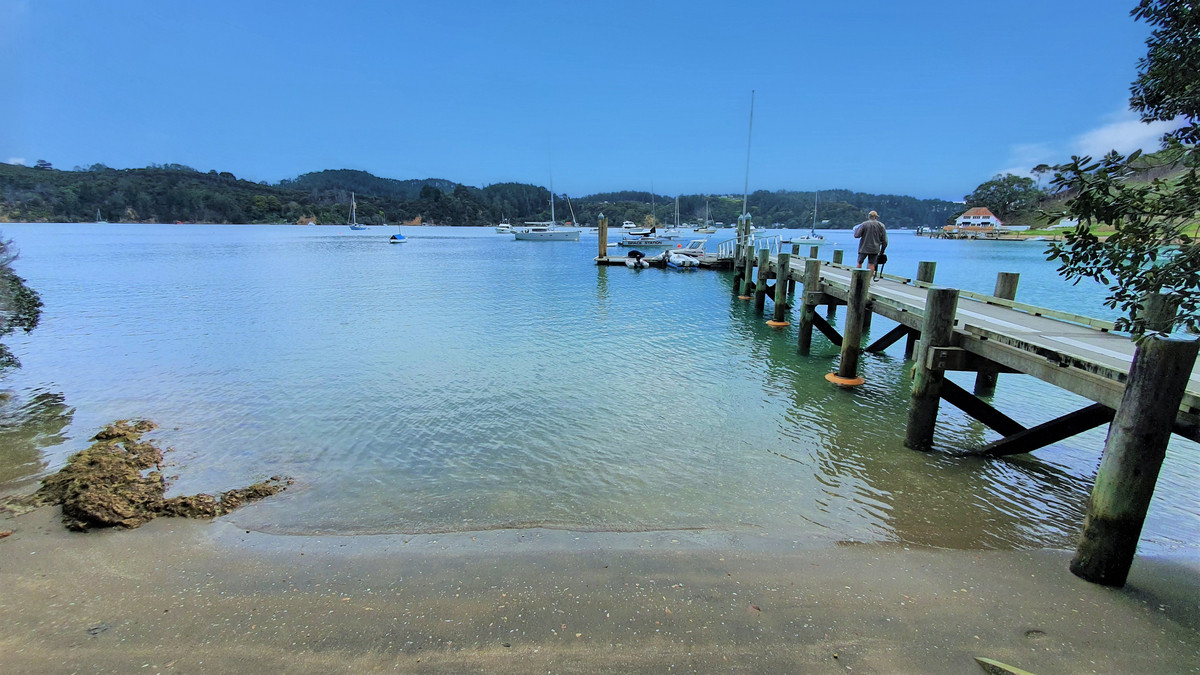 Lot 109, Hideaway Cove, Kawau Island - Debbie Aldred
